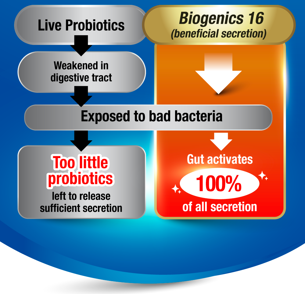 LABO Nutrition Biogenics 16 - Lactic Acid Bacteria Probiotics for ...