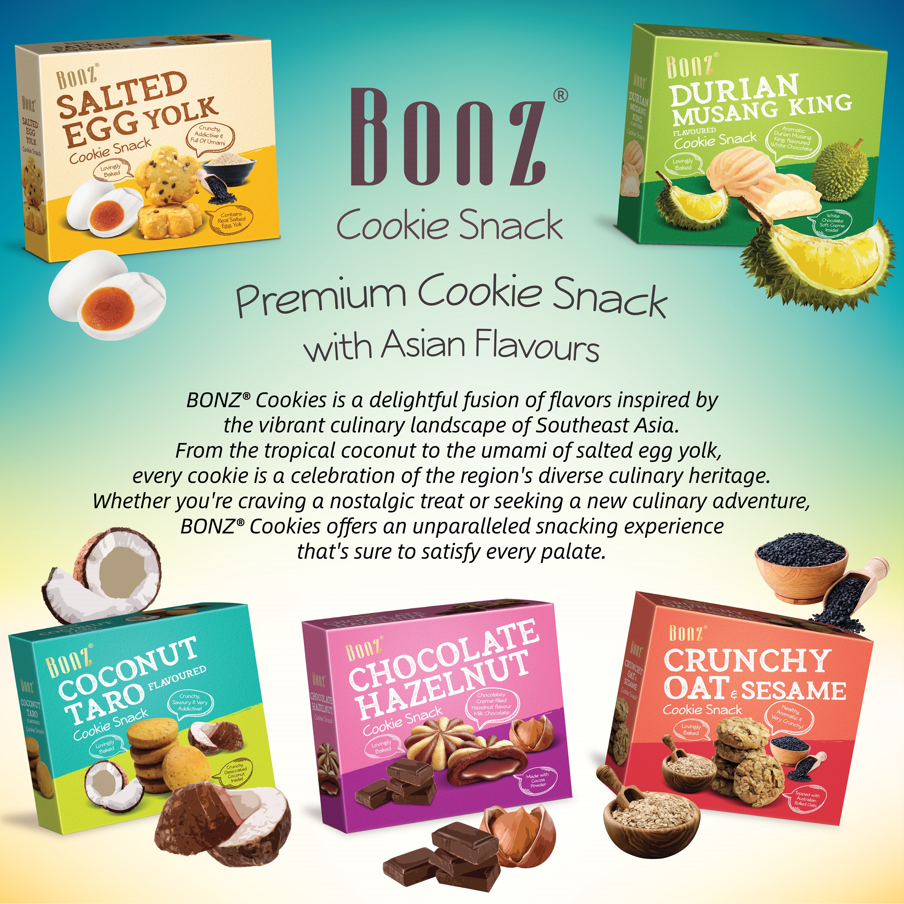 BONZ Premium Cookie Snacks with Asian Flavours 100g per box x 4 ...