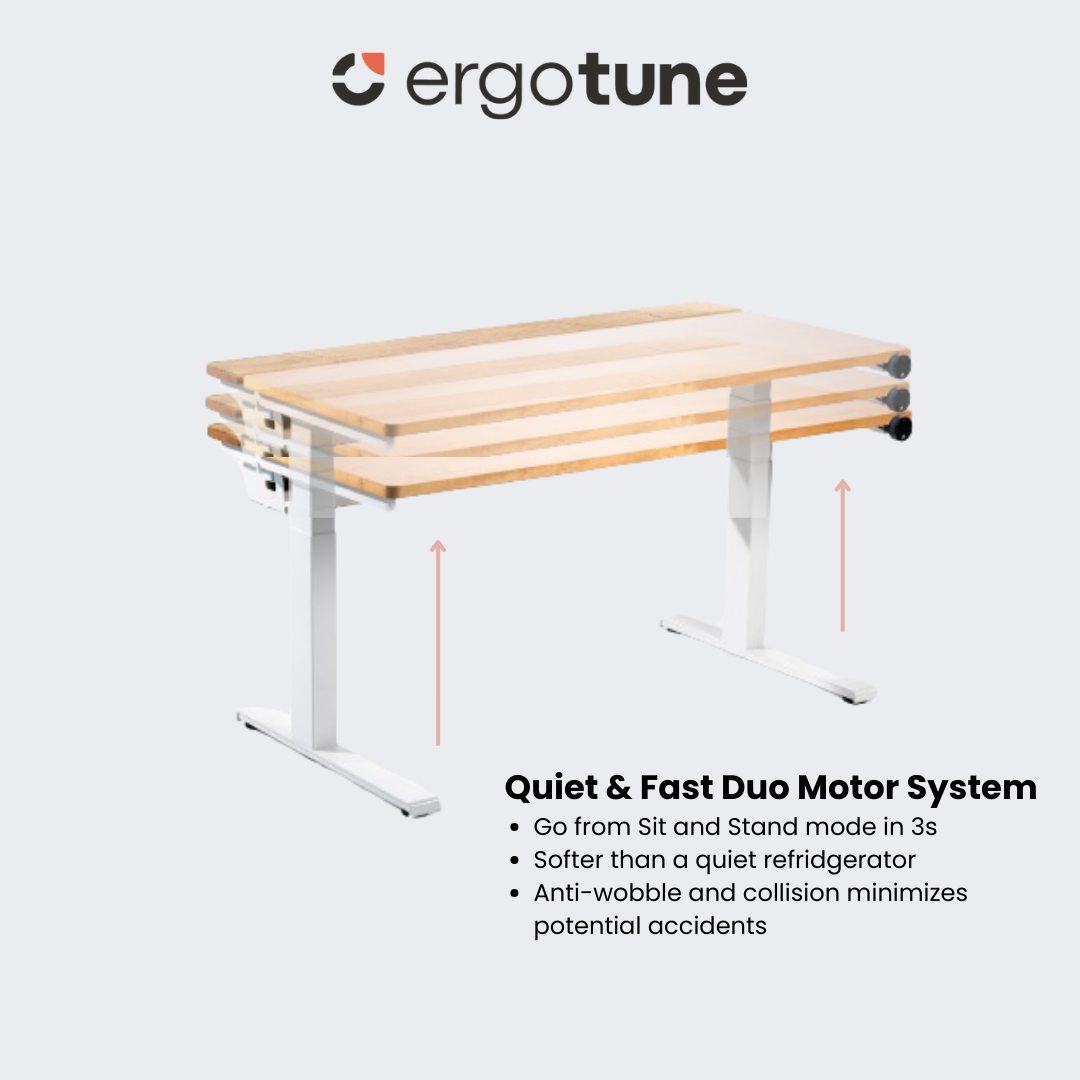 Ergotune Hexon - Ergonomic Standing Height Adjustable Desk Table | Sit ...