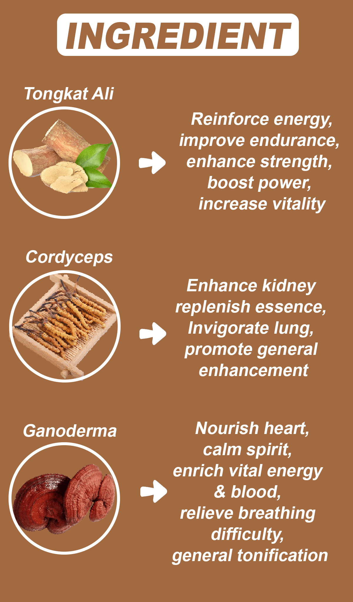 [Ali King] Tongkat Ali + Cordyceps + Ganoderma |Tonify Kidney & Lung ...