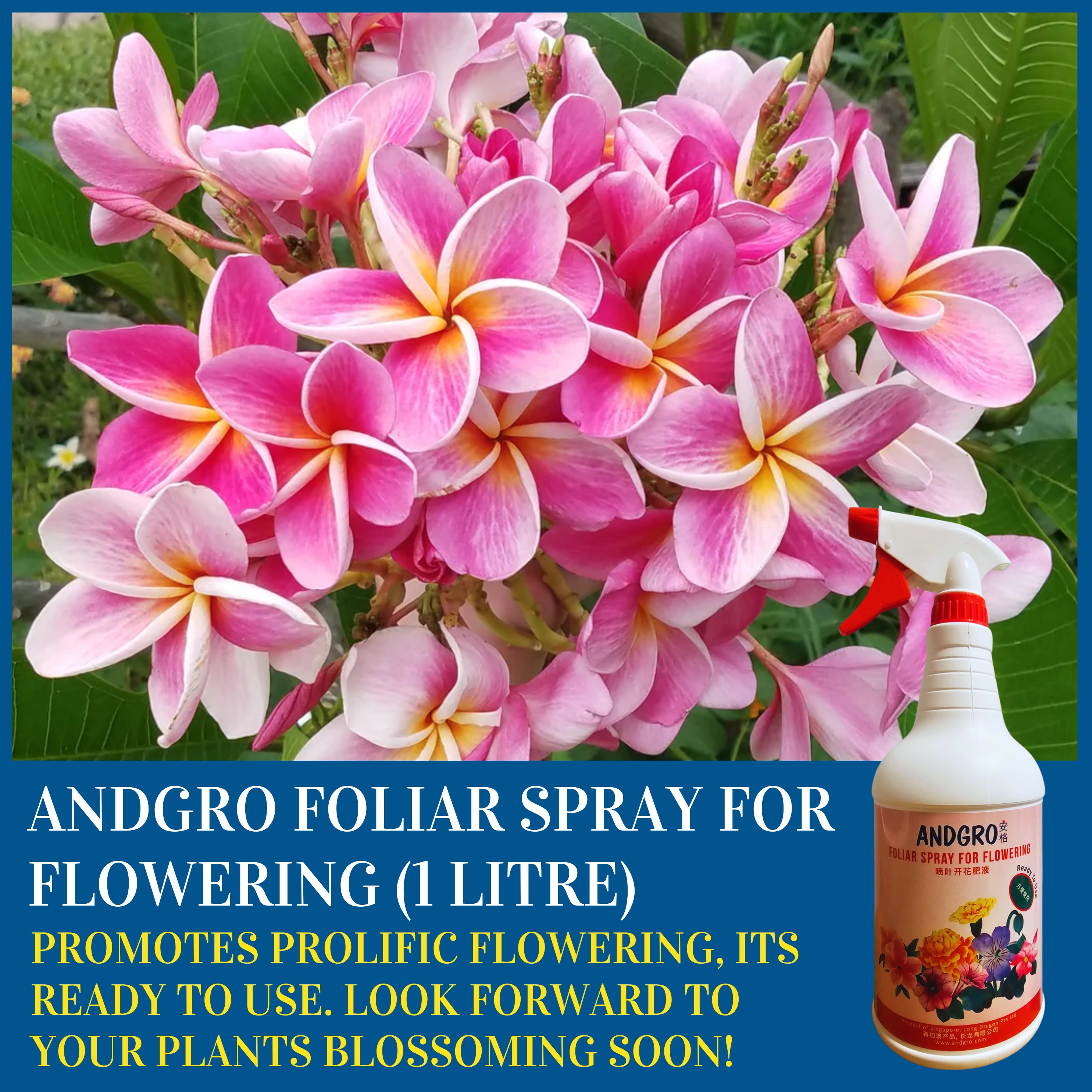 ANDGRO Foliar Spray for Flowering (1000ml) | Shopee Singapore