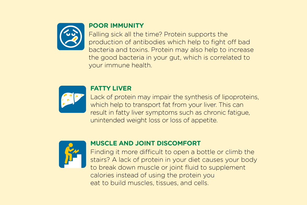 [LAC PROTEIN] Pea Protein - All-natural Muscle Builder (1.72lb ...