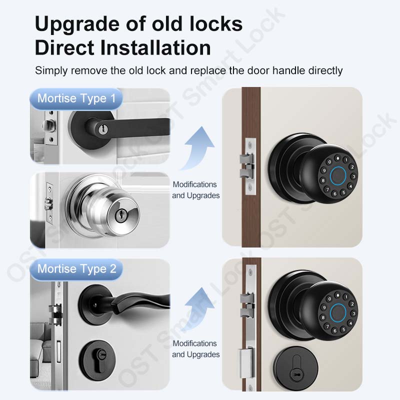 Tuya 5-in-1 Smart Fingerprint Combination Spherical Door Lock for Wooden Doors | Shopee Singapore