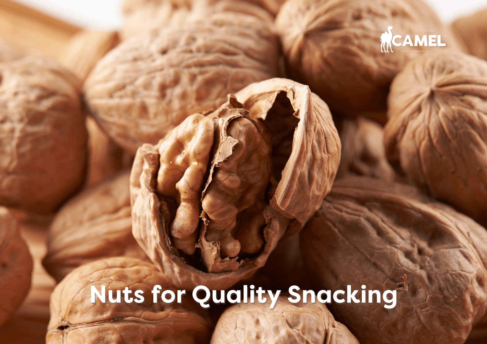 Camel Natural Baked Walnuts 130g | Shopee Singapore