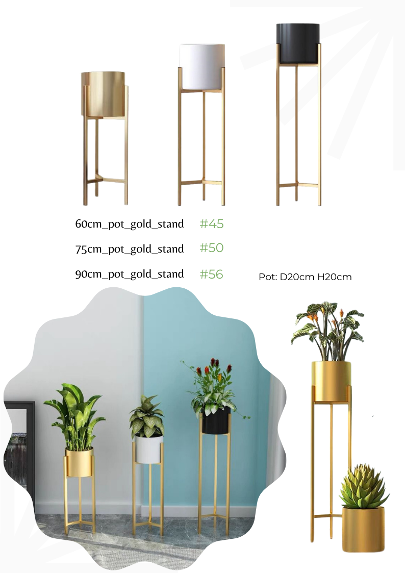 [SG STOCK] Metal Plant Pot Plant stand Plant Full Golden Pot Stand ...