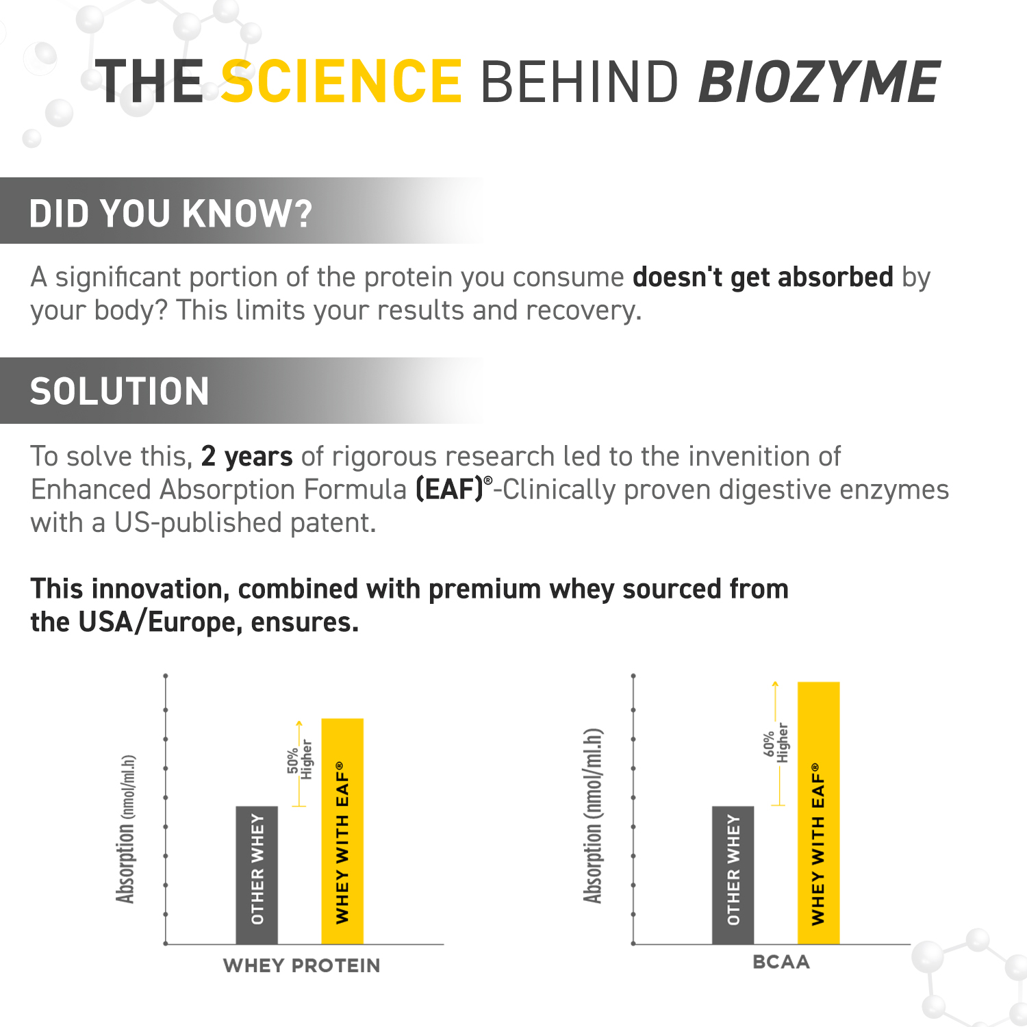 MuscleBlaze Biozorb Performance Whey Protein (Swiss Chocolate Hazelnut ...