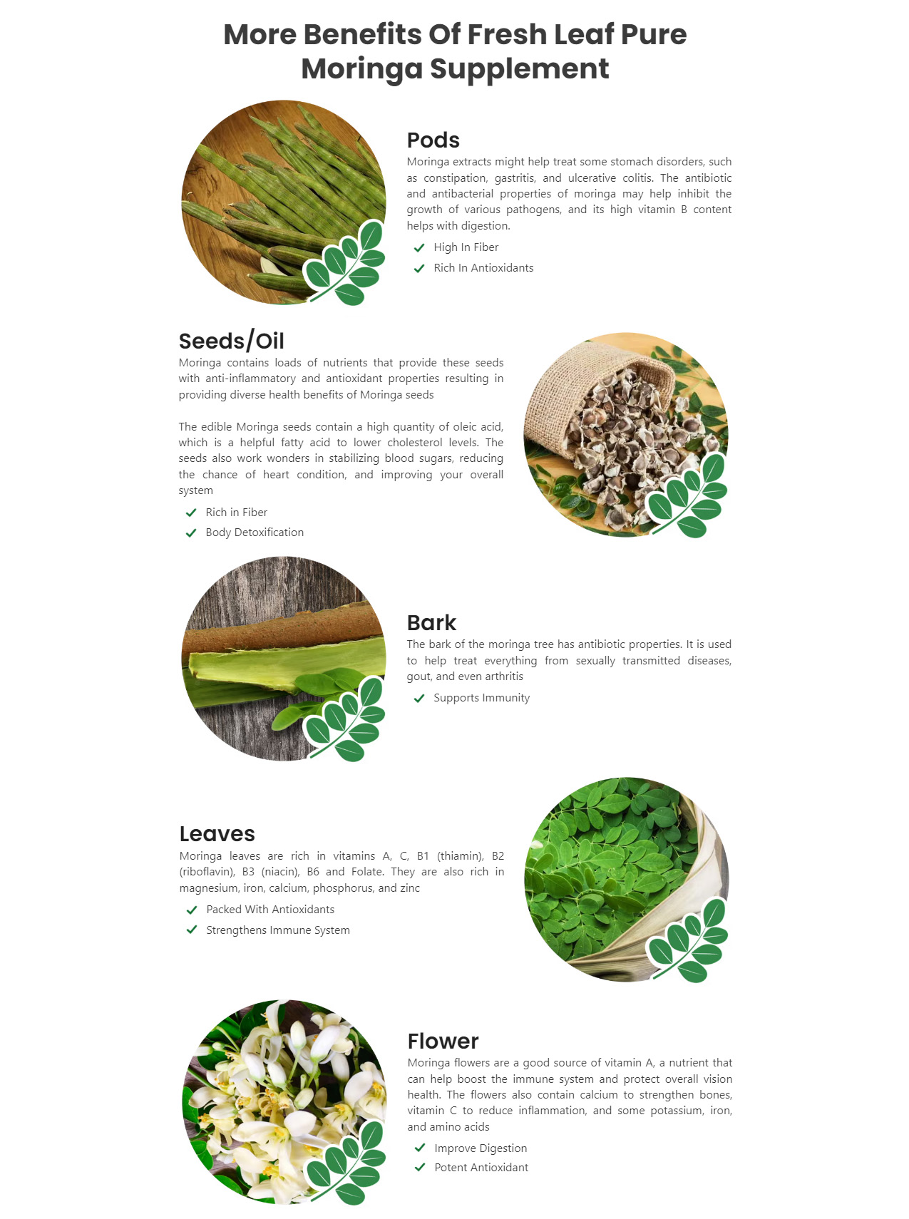 Nano Singapore Fresh Leaf Pure Moringa Supplement with 90 Nutrients ...