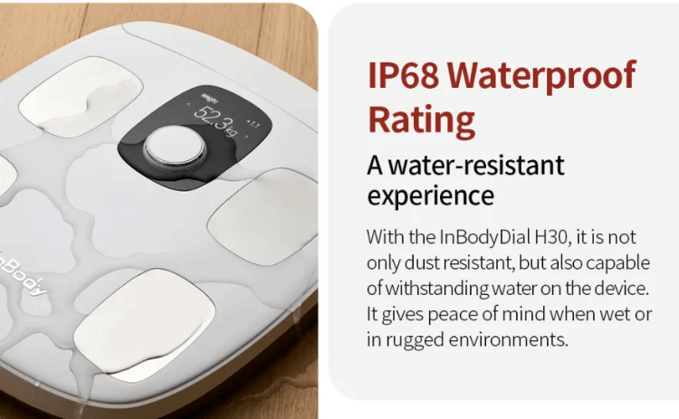 Official Distributor - InBody Dial H30 Smart Body Composition Scale ...