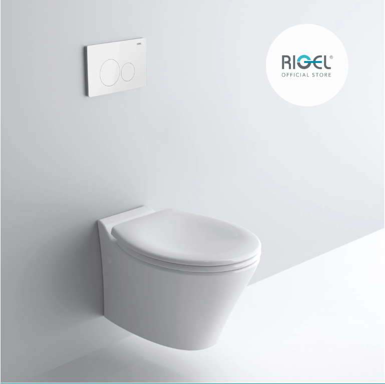 RIGEL Doux Wall Hung Toilet Bowl complete with concealed cistern ...