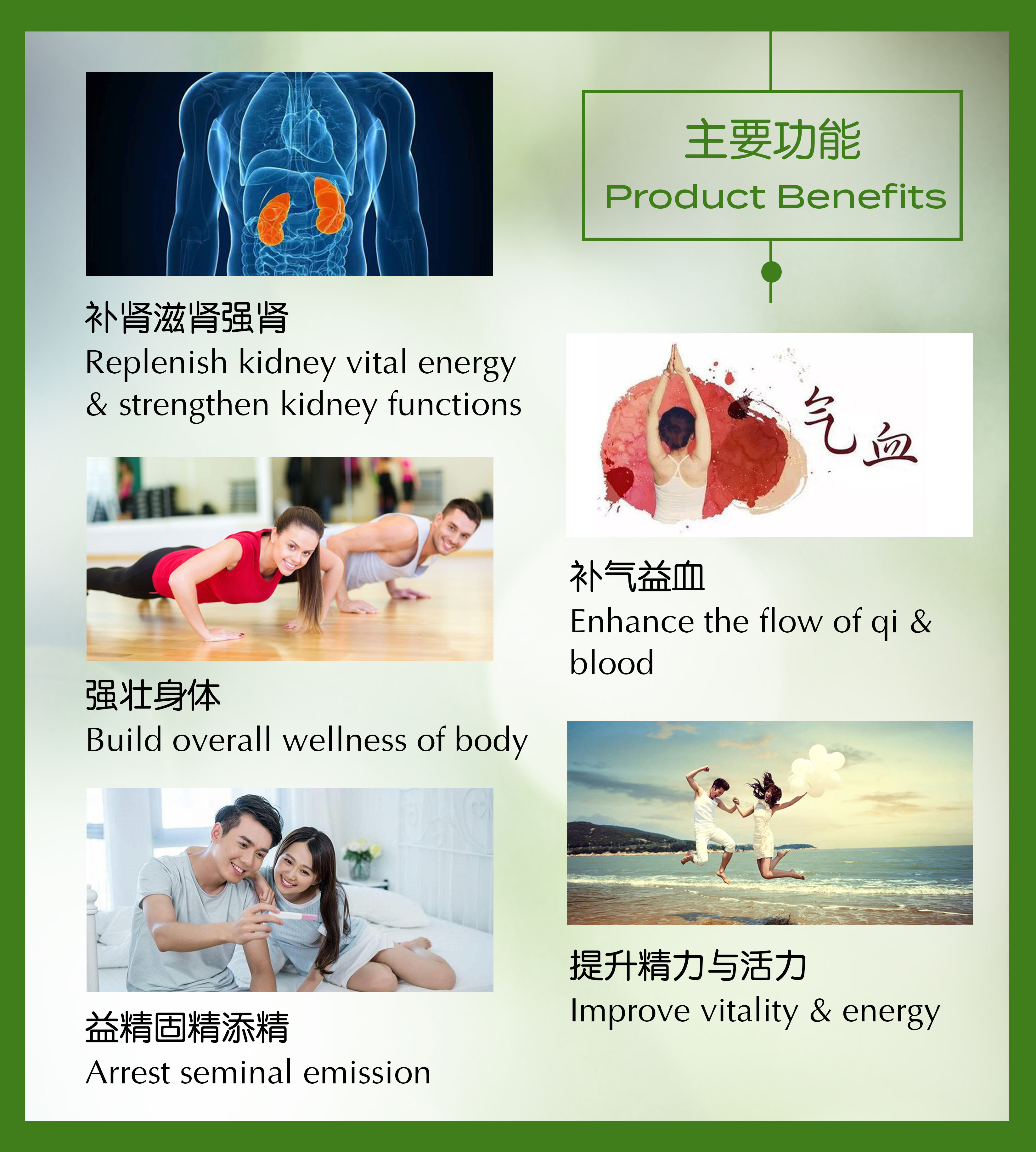Kidney Supplement | Thong Chai TCM |Bu Shen Yi Jing | Vital Energy ...