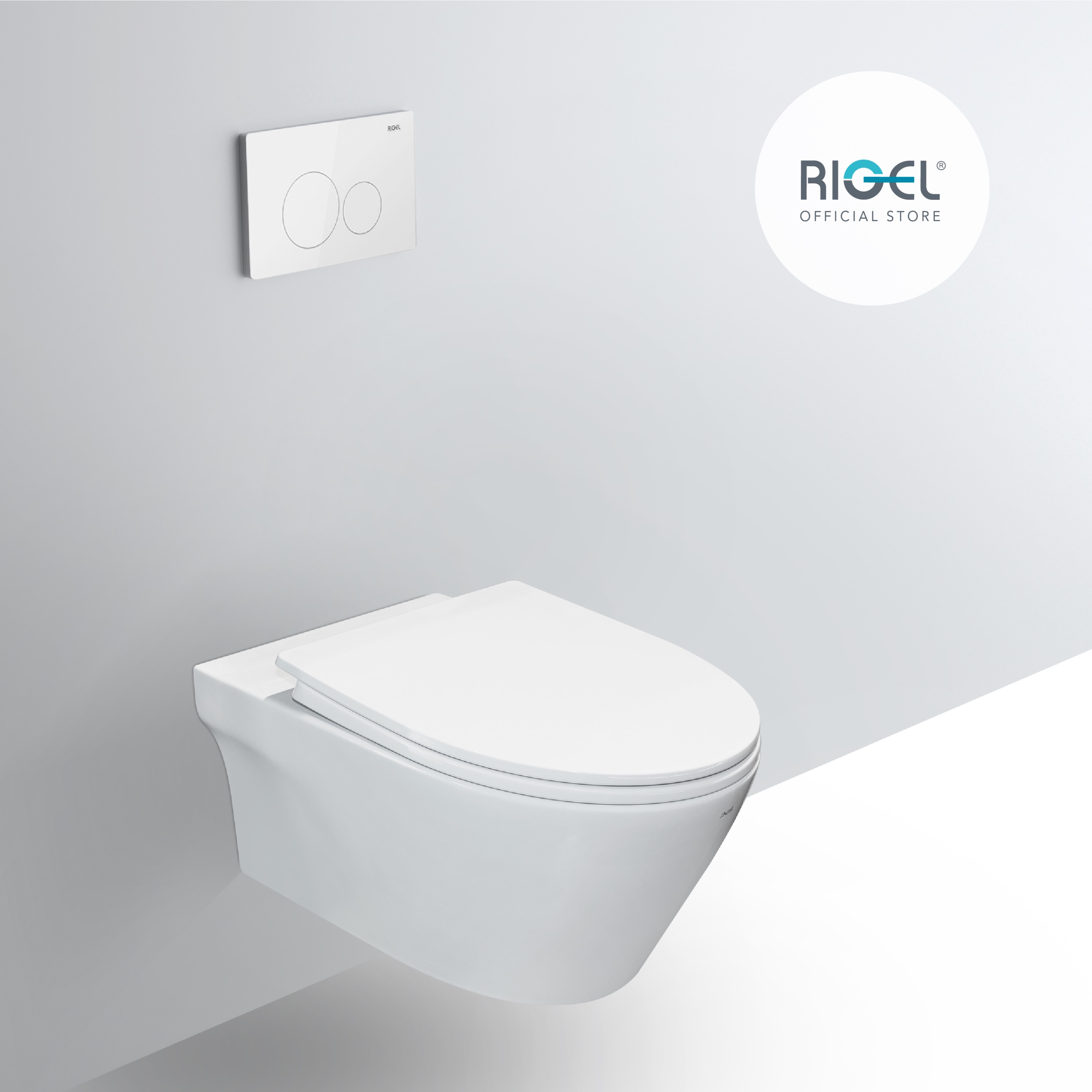 RIGEL Wall Hung Toilet Bowl complete with concealed cistern R-WH9032BP ...