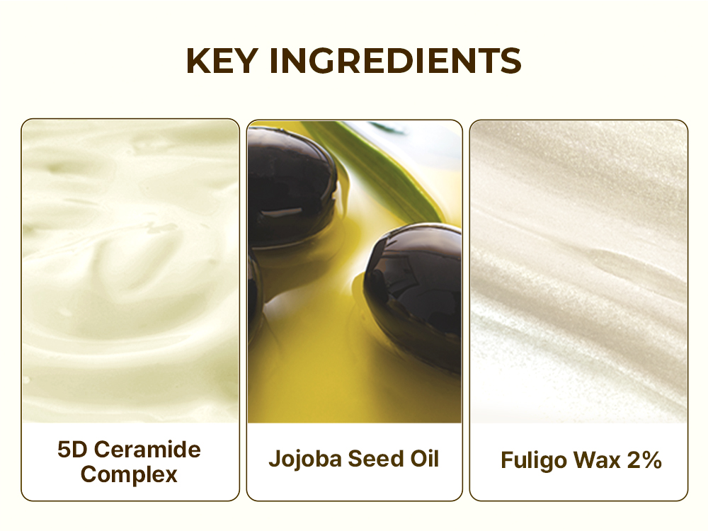 [Torriden Official] SOLID IN Lip Essence for Glowy, 11mlx2ea Bundle | Shopee Singapore