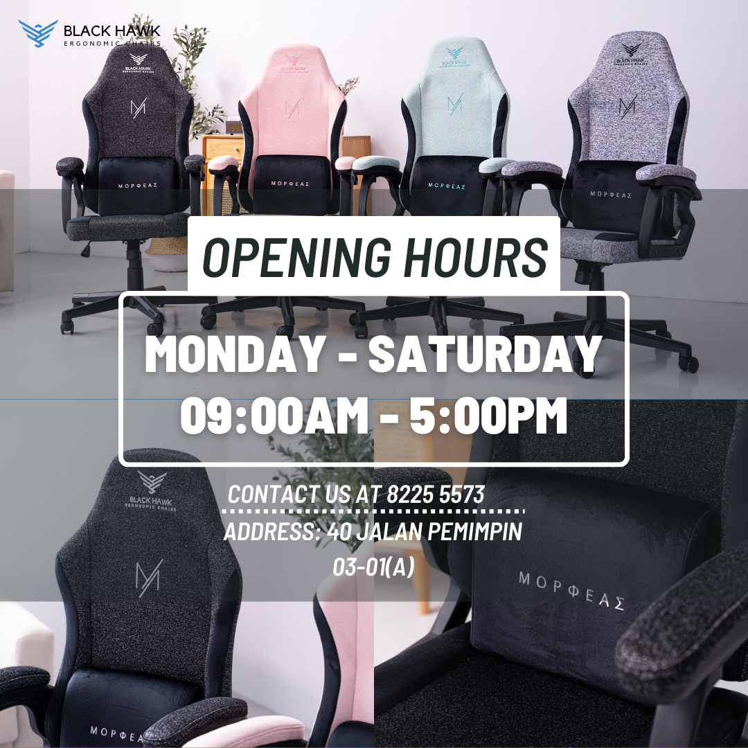 🦅 (𝐒𝐆 𝐒𝐓𝐎𝐂𝐊) Black Hawk RGB Gaming Chair / Gaming Chair / Computer ...