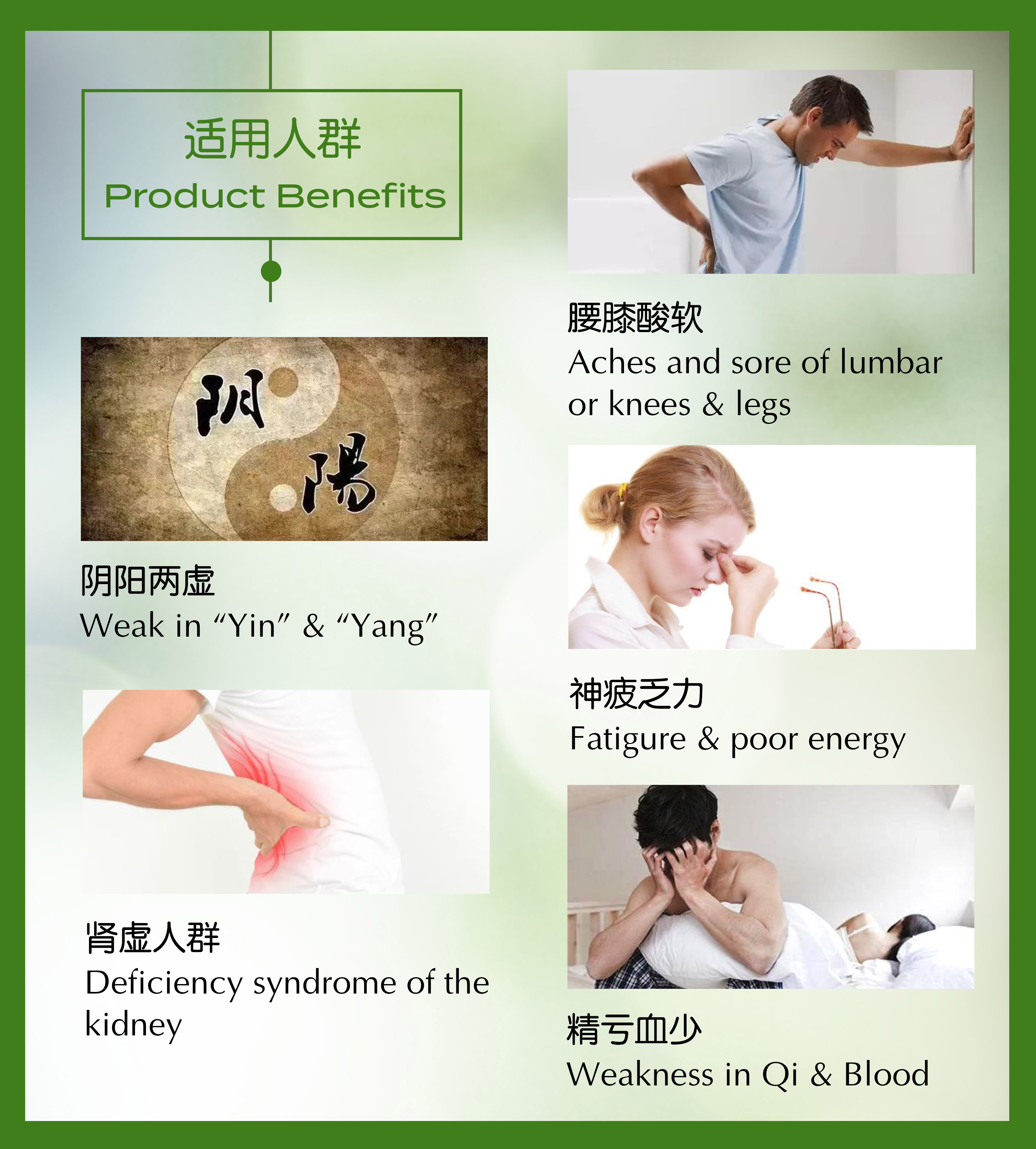 Kidney Supplement | Thong Chai TCM |Bu Shen Yi Jing | Vital Energy ...