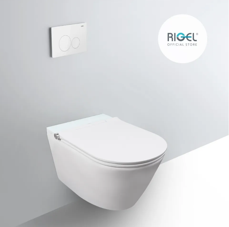 RIGEL Gallant Smart Wall Hung Toilet Bowl complete with concealed ...