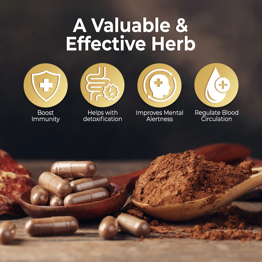 Borsch Med 100% Lingzhi Cracked Spores Powder Capsule 200mg x 60 ...