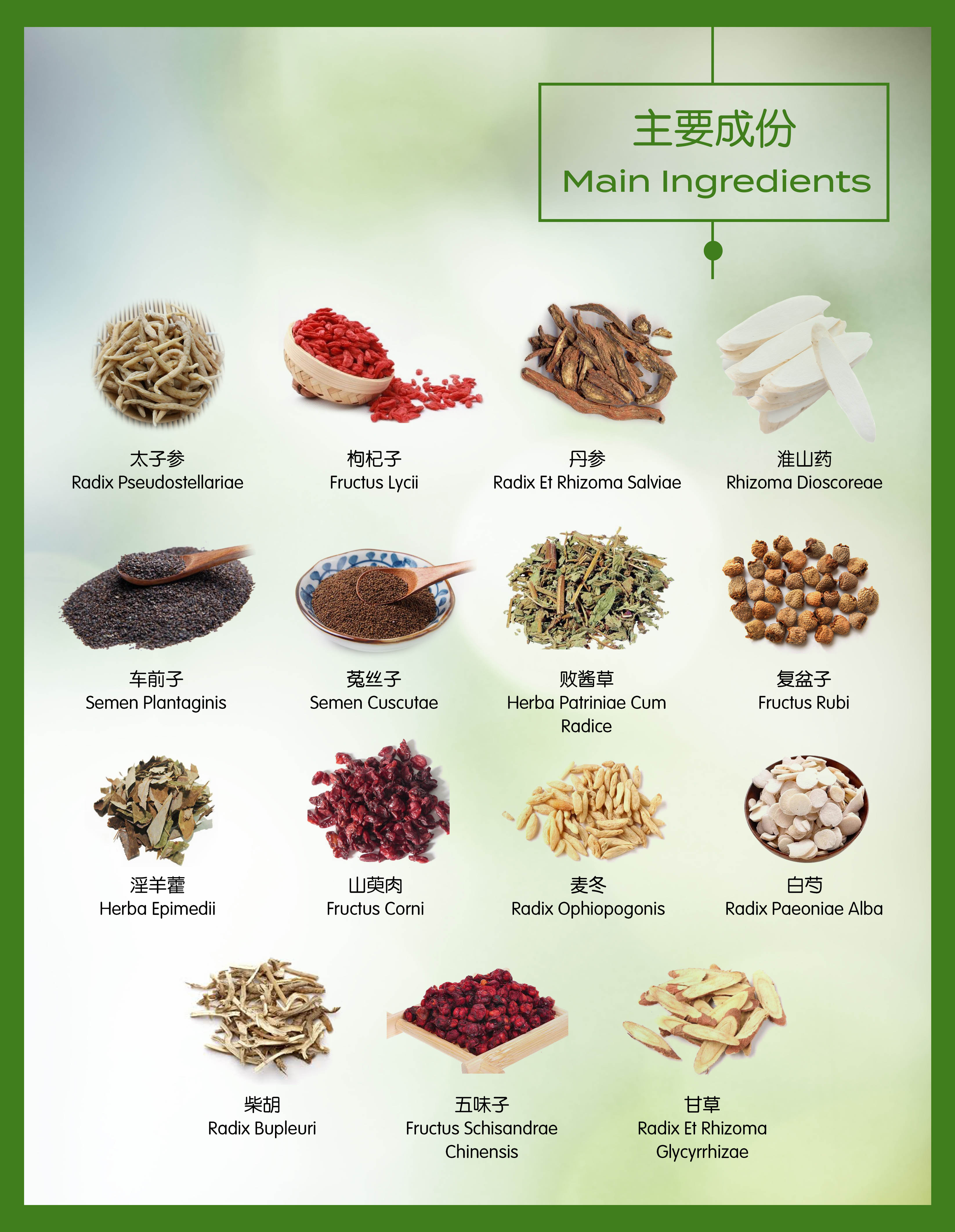 Kidney Supplement | Thong Chai TCM |Bu Shen Yi Jing | Vital Energy ...