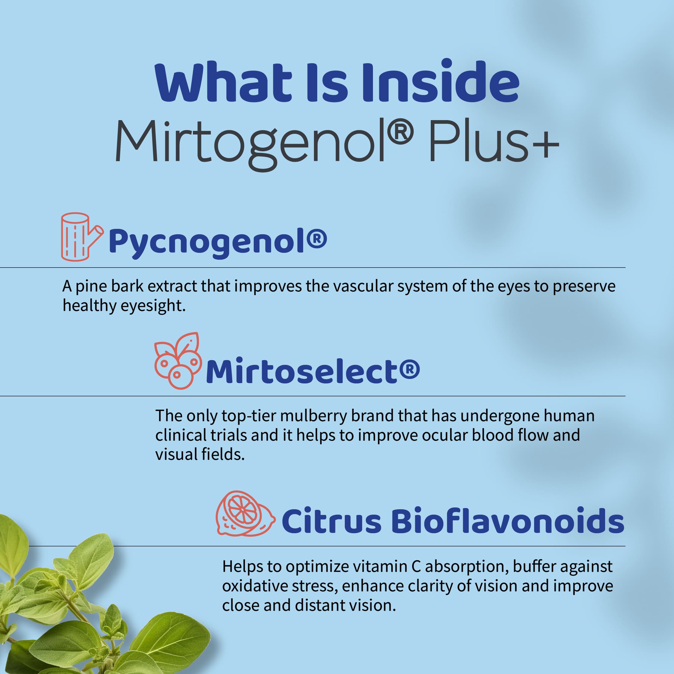 Nature's Farm® Mirtogenol Plus+ 60s | Shopee Singapore