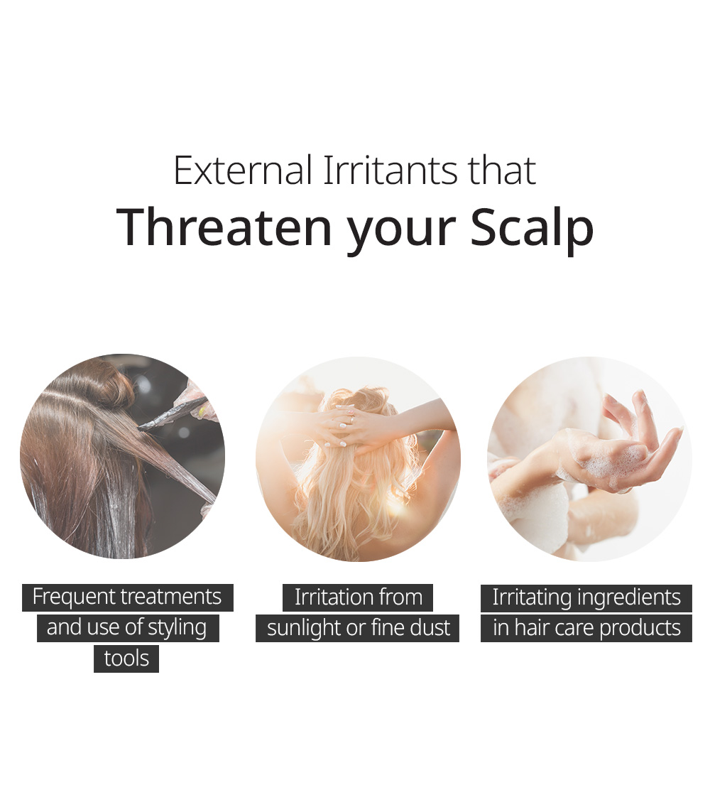 [Daleaf] Apple Mint Better Root Cooling Scaler 250g (Anti Hairloss ...