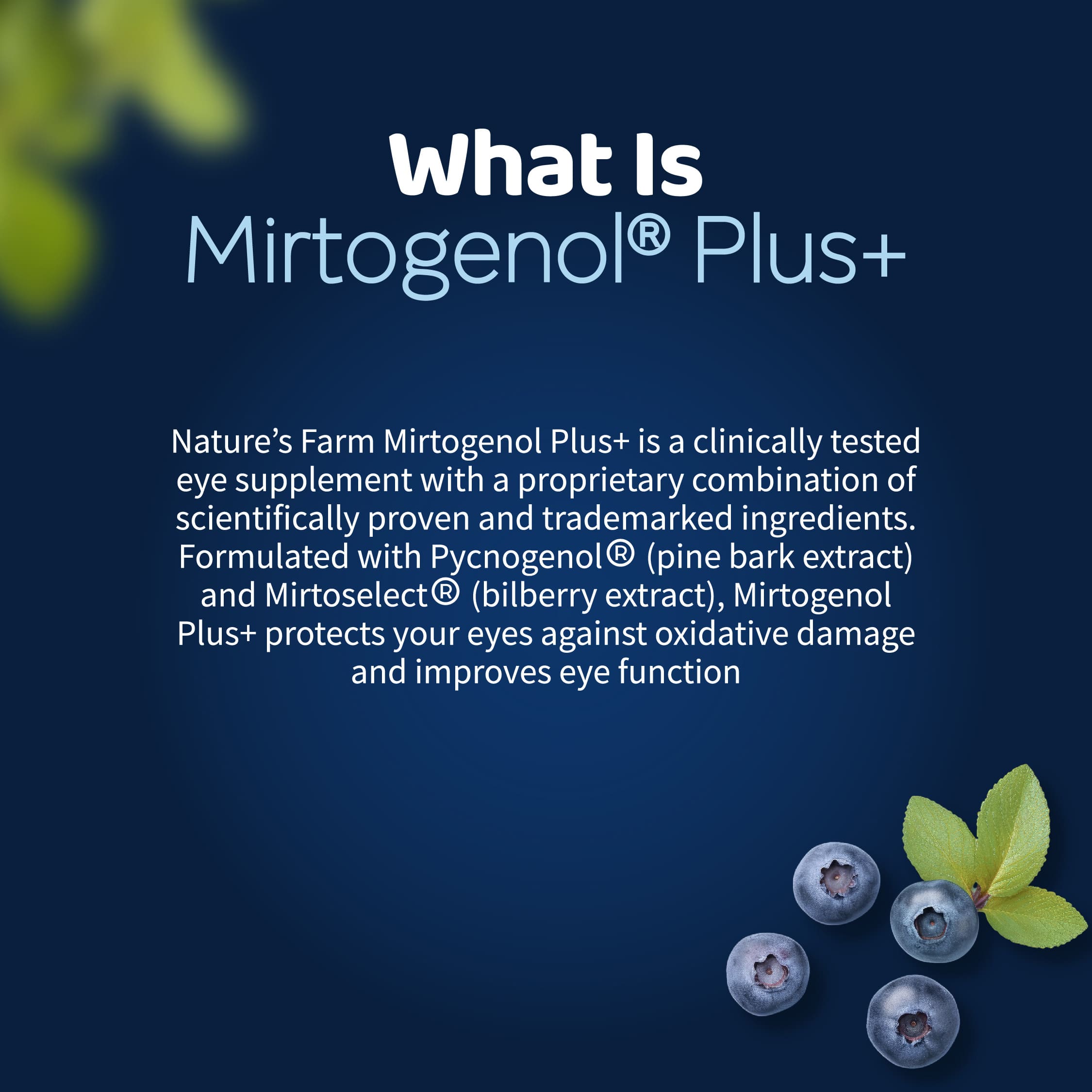 Nature's Farm® Mirtogenol Plus+ 60s | Shopee Singapore