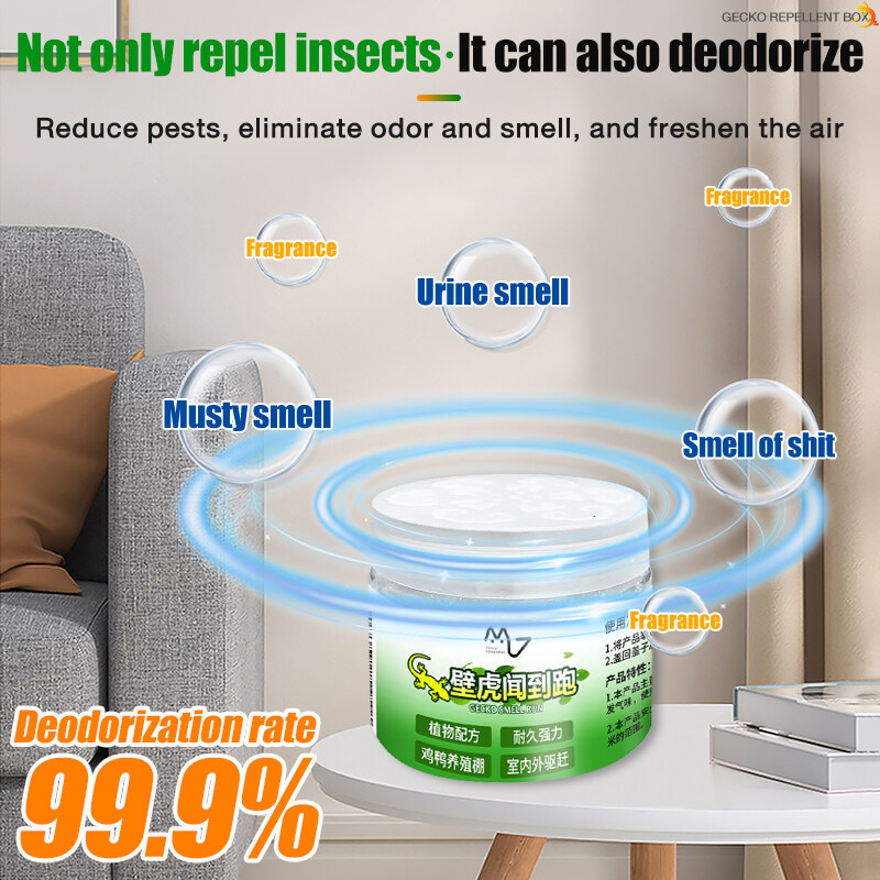 【SG】Lizard Repellent Lizard Killer Lizard Trap Gecko Killer Magic Box ...