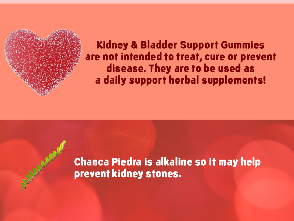 21st Century Kidney and Bladder Support (60 Vegan Gummies) | Shopee Singapore