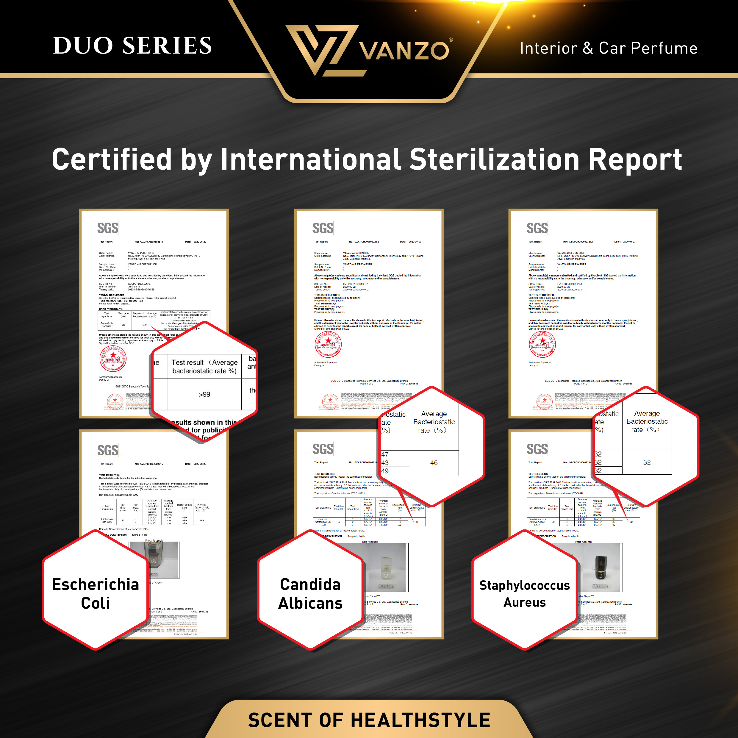 ⚡NEW⚡ VANZO Duo Series Classic Blossom / English Pear & Freesia New ...