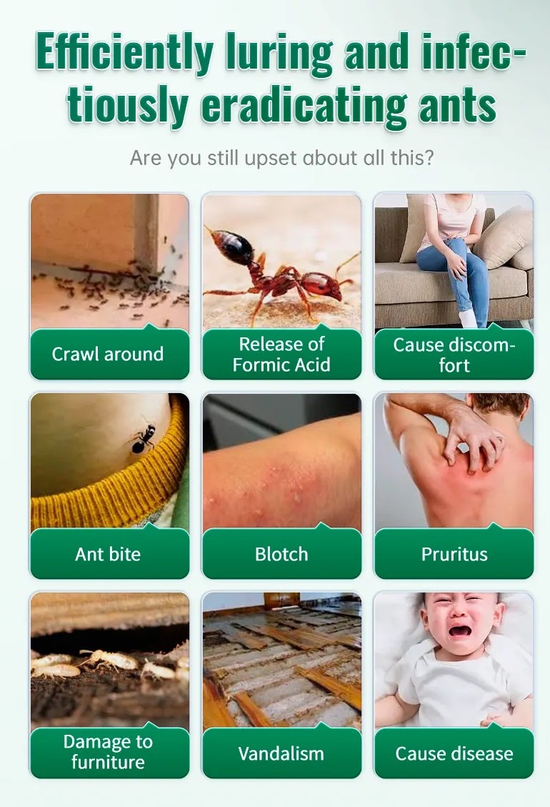 Ant Killer Bait Gel Liquid Poison Anti Ants Kill Colony Trap Better ...