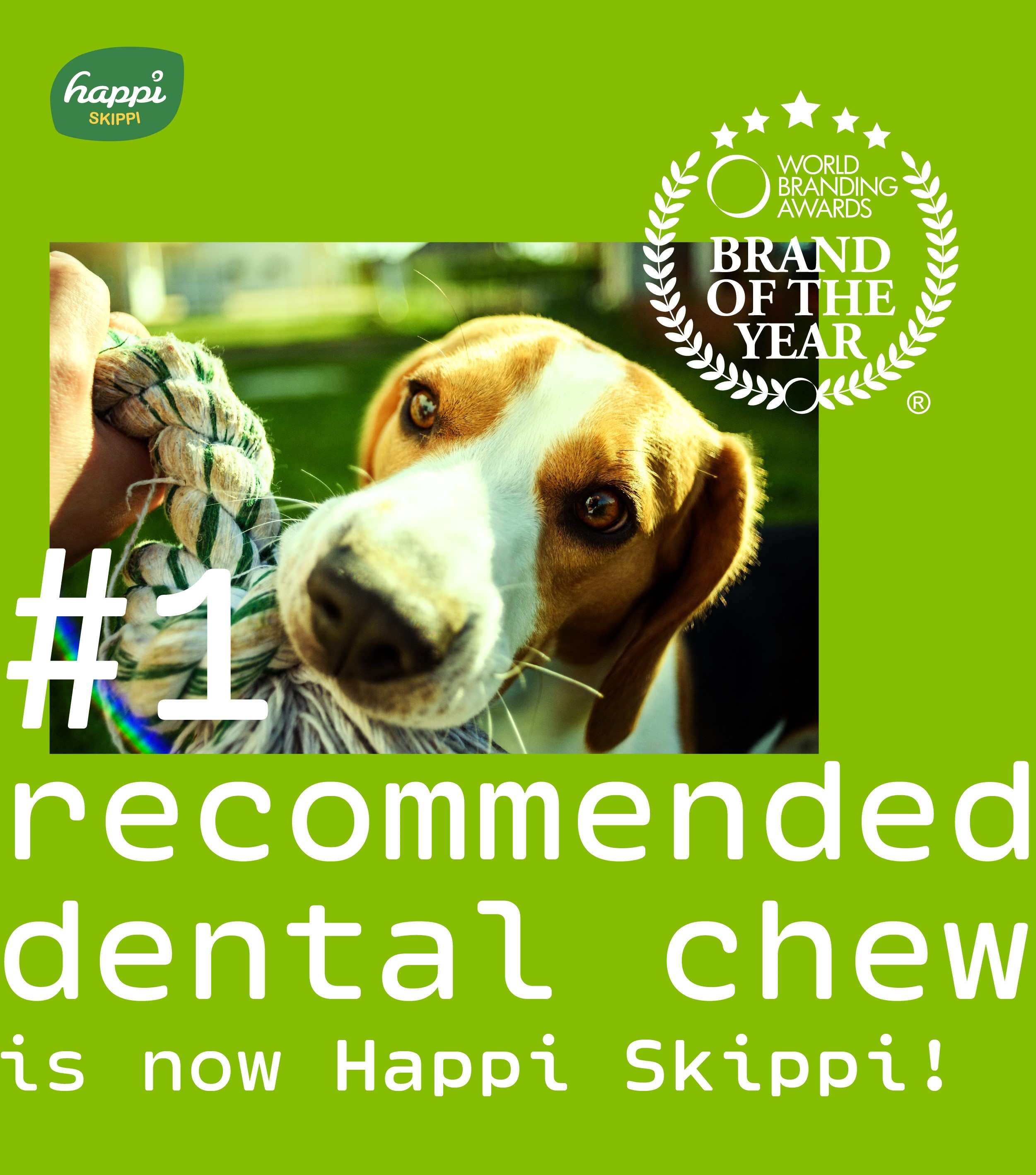 Happi Skippi Zest Regular 4-Inch Dental Chew (25g x 50) Dog Treats ...