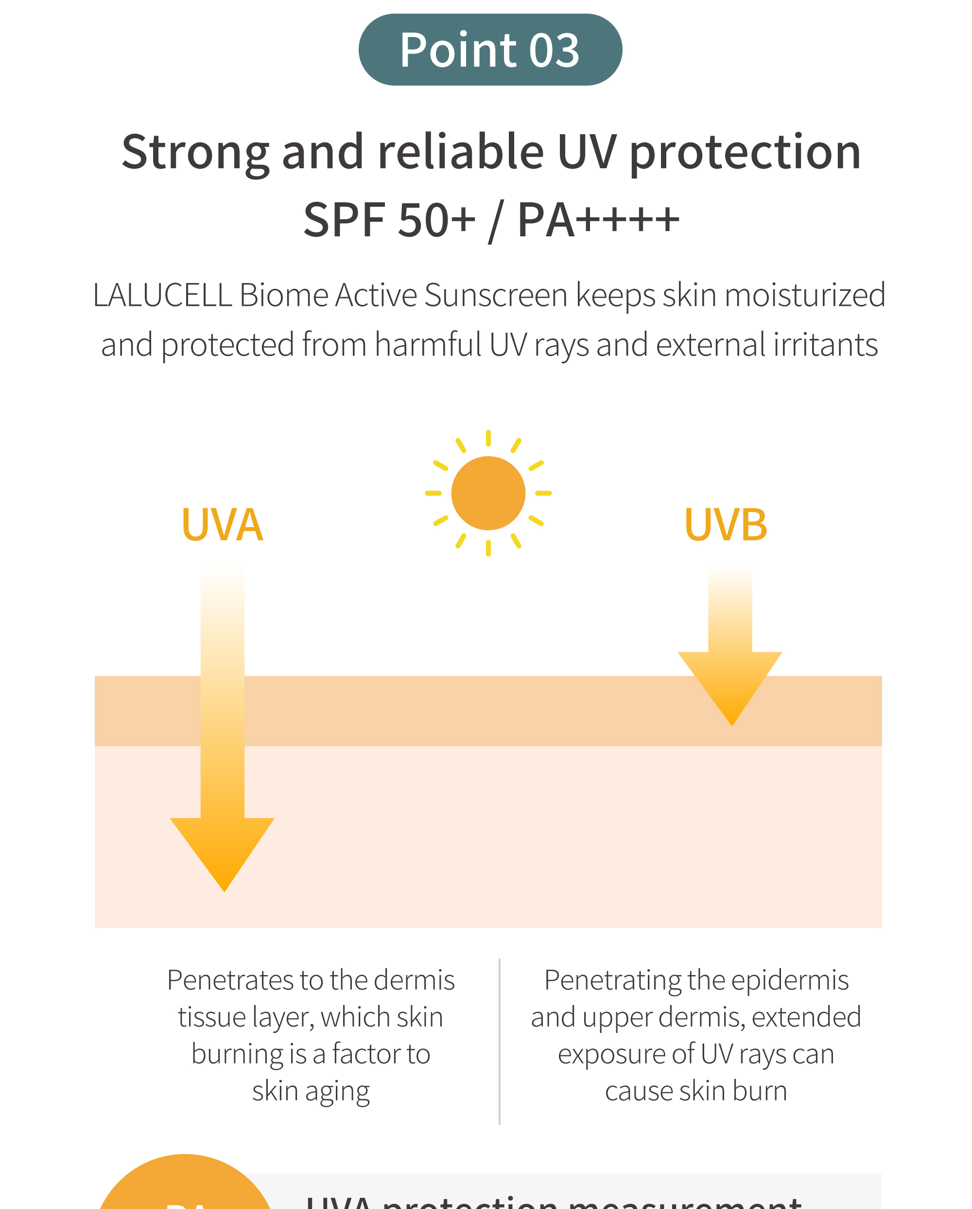 LALUCELL Biome Vegan Active Sunscreen 50ml [VEGAN, Physical Zinc Oxide ...