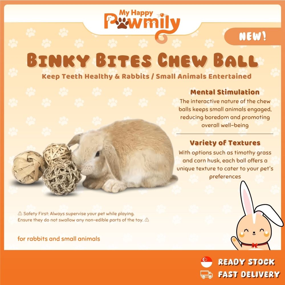 SG Fast Delivery | Binky Bites Chew Ball - Keeps Teeth Healthy ...