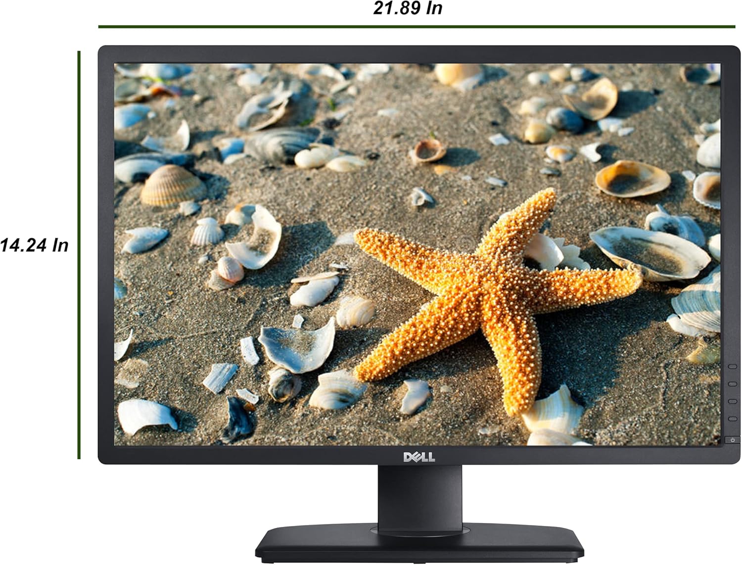 Dell monitor 24 inch Full HD 1920x1200 monitor DP VGA DVI port ...