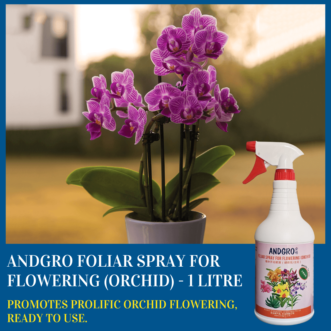 ANDGRO Foliar Spray for Flowering - Orchid (1000ml) | Shopee Singapore