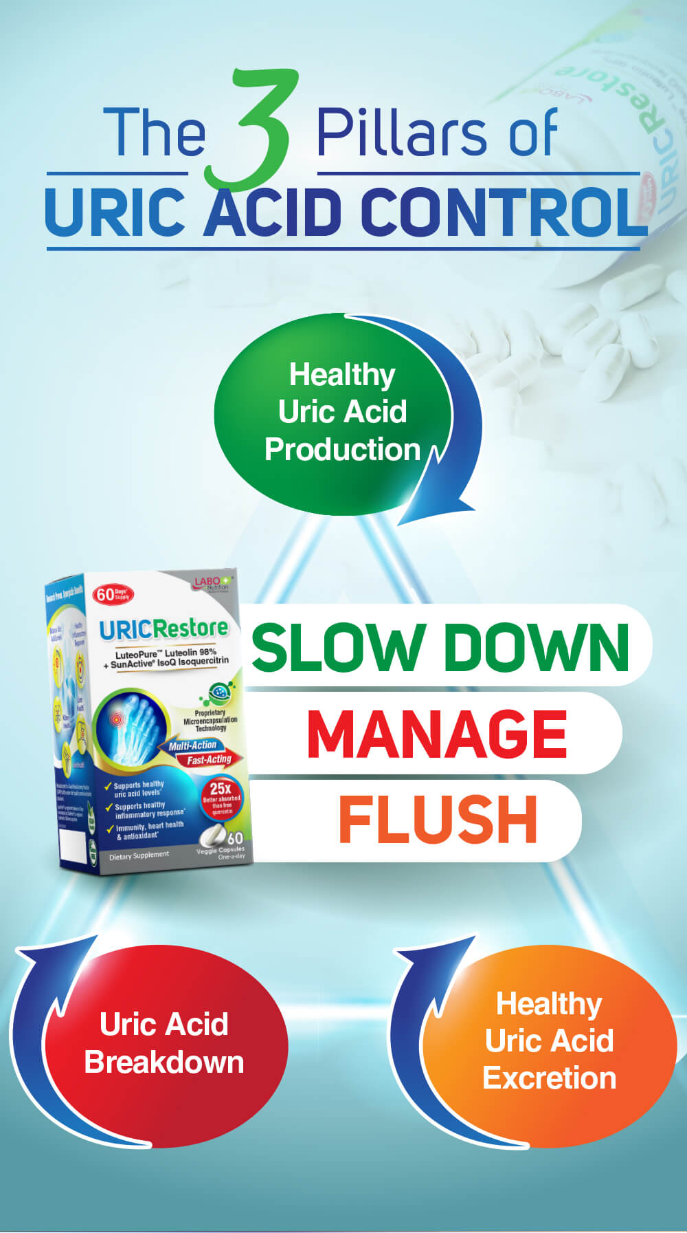 LABO URICRestore Luteolin Quercetin for Uric Acid Flare Up Gout Joint ...