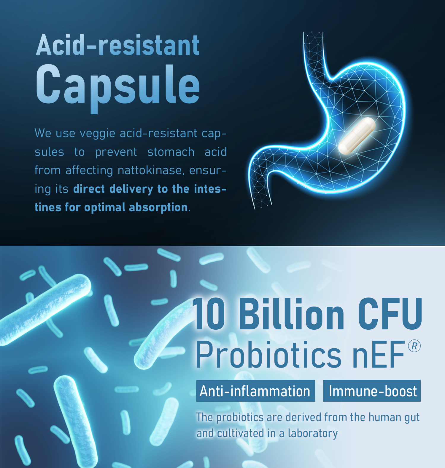 [Herbase] Nattokinase 12000FU supplement (Made in Japan) Lower Blood ...