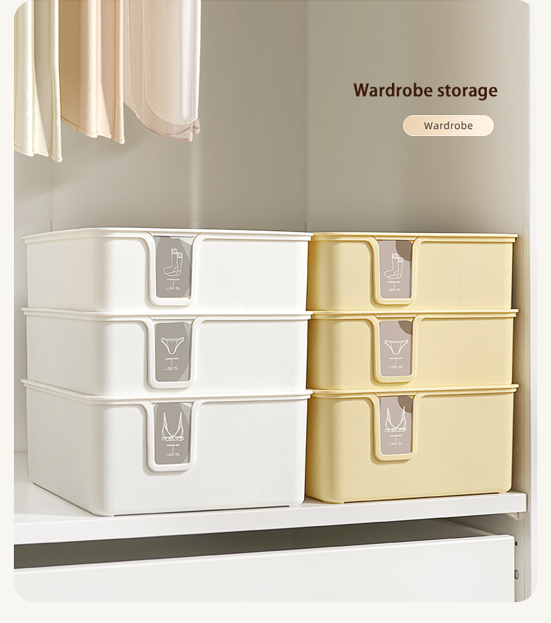 【SG Stock】underwear organiser/Bras Pants storage box /Bedroom Closet ...