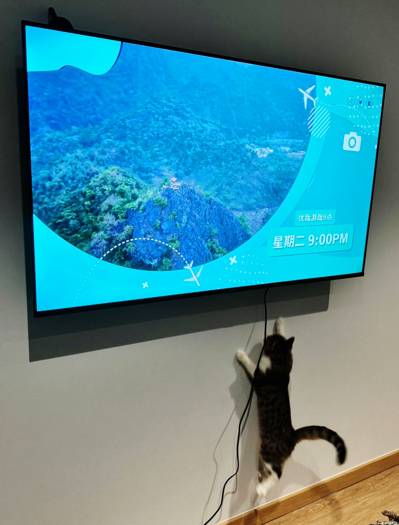 LOCAL STOCK TV BRACKET TV MOUNT TV INSTALL WALL MOUNT 27" to 80" NORMAL ...