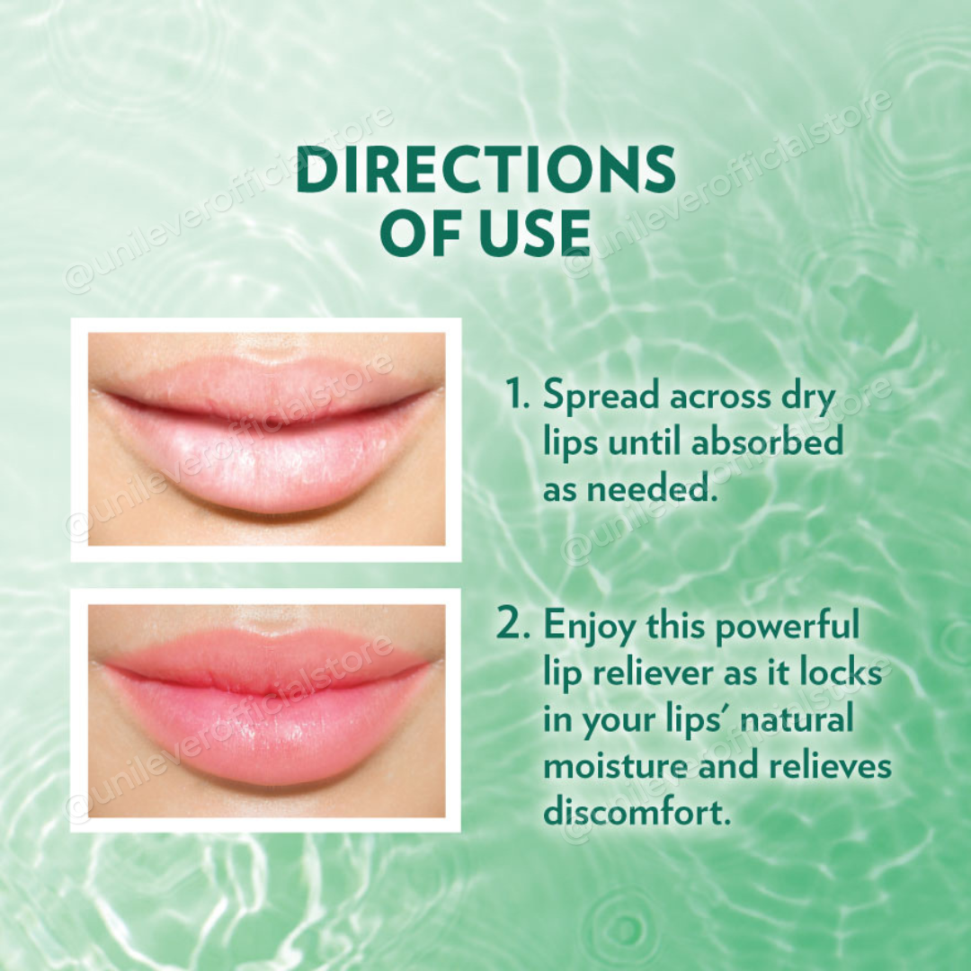 Vaseline Lip Therapy Mint 4.8g [EXP Oct 25] | Shopee Singapore