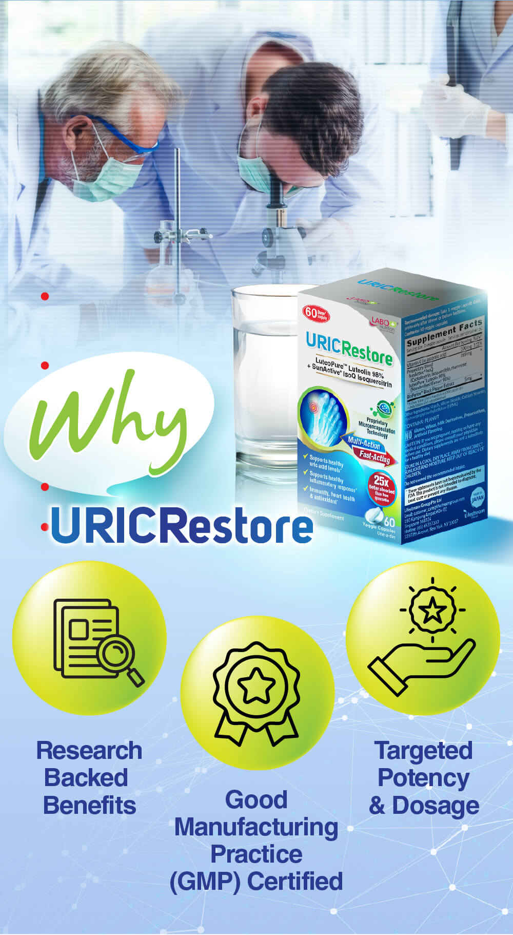 LABO URICRestore Luteolin Quercetin for Uric Acid Flare Up Gout Joint ...