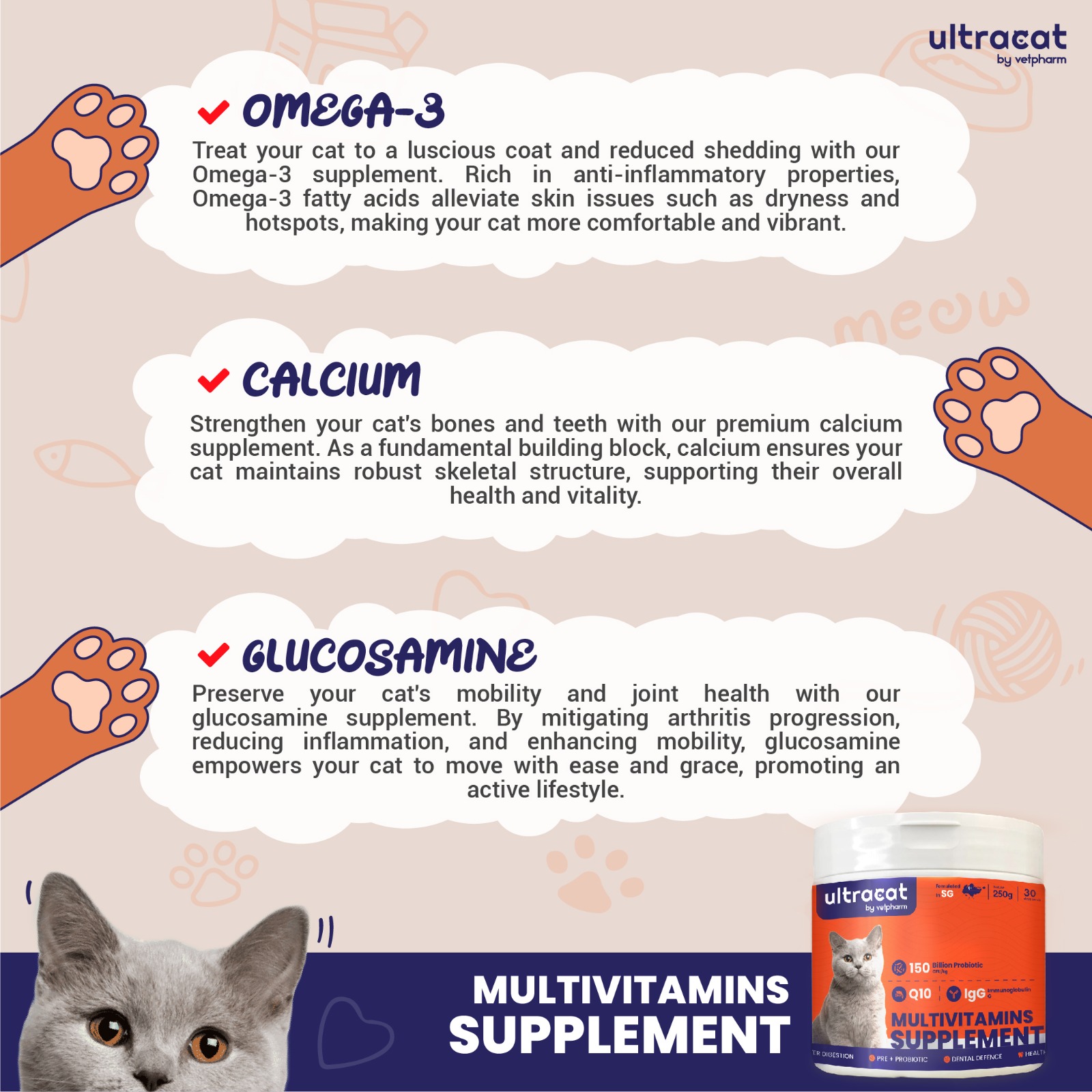 SG Local Biovet Vitamin Kucing BioVet Advanced Health Booster Original ...