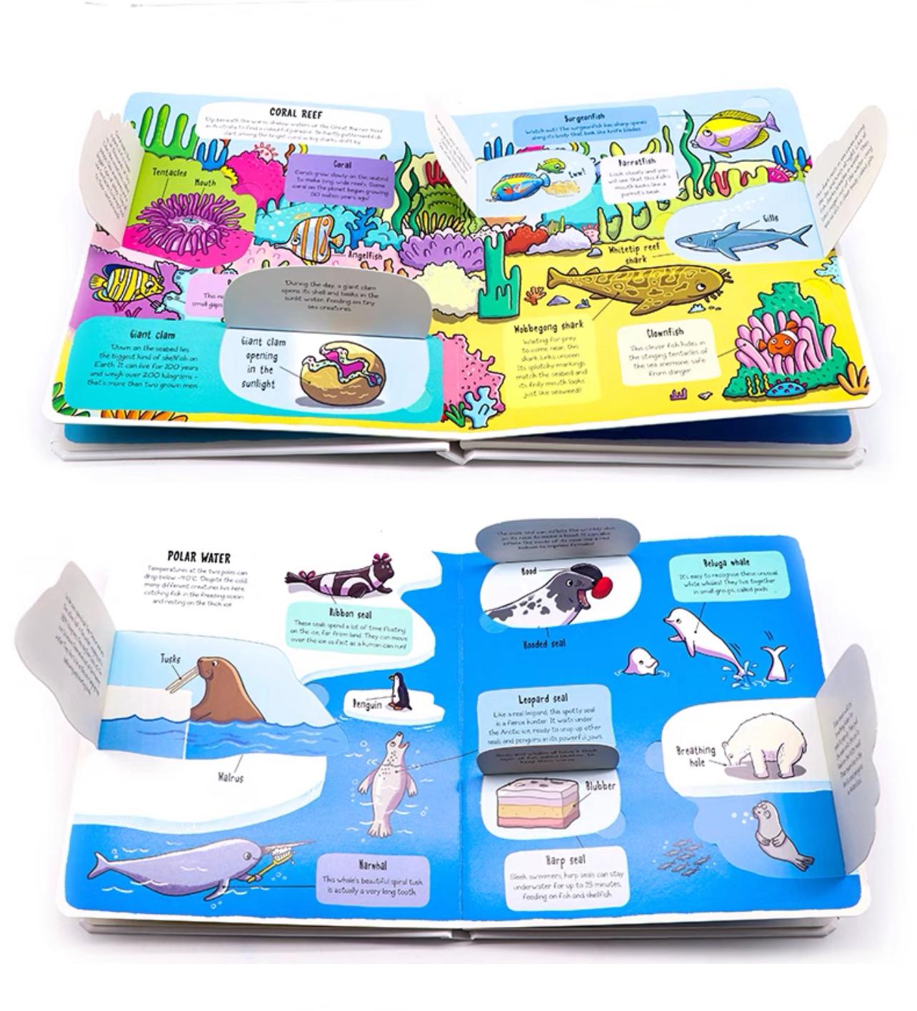 Little Explorer Series Popular Science Flip Books 6 Volumes Kids Books ...