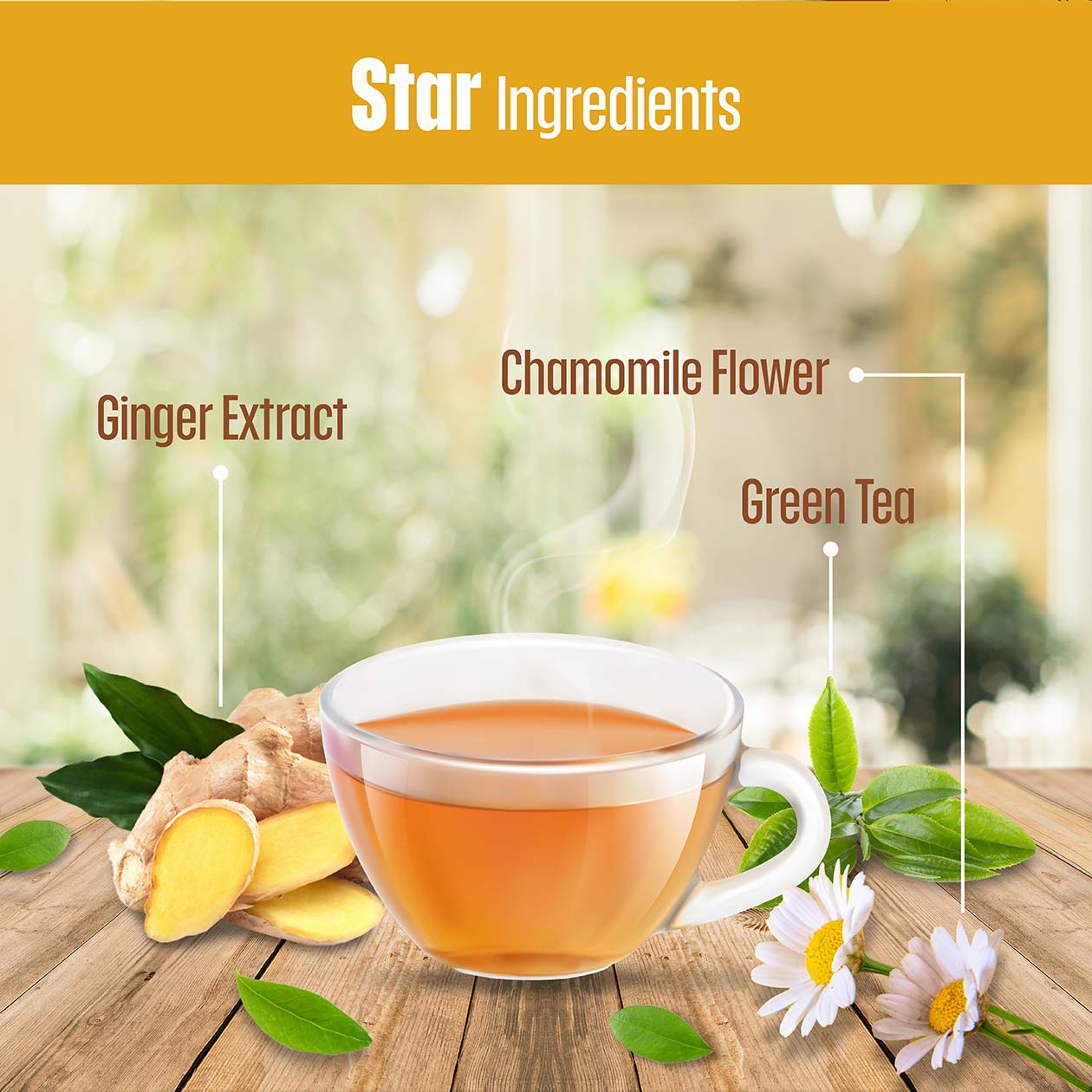 Kinohimitsu D'Tox Ginger Tea Bag 2g - Digestive Health Support ...