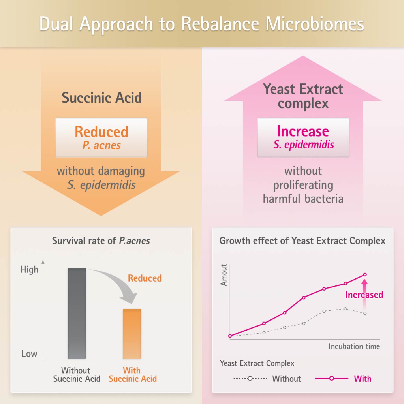 D PROGRAM Acne Care Spot Essence 15g | Shopee Singapore