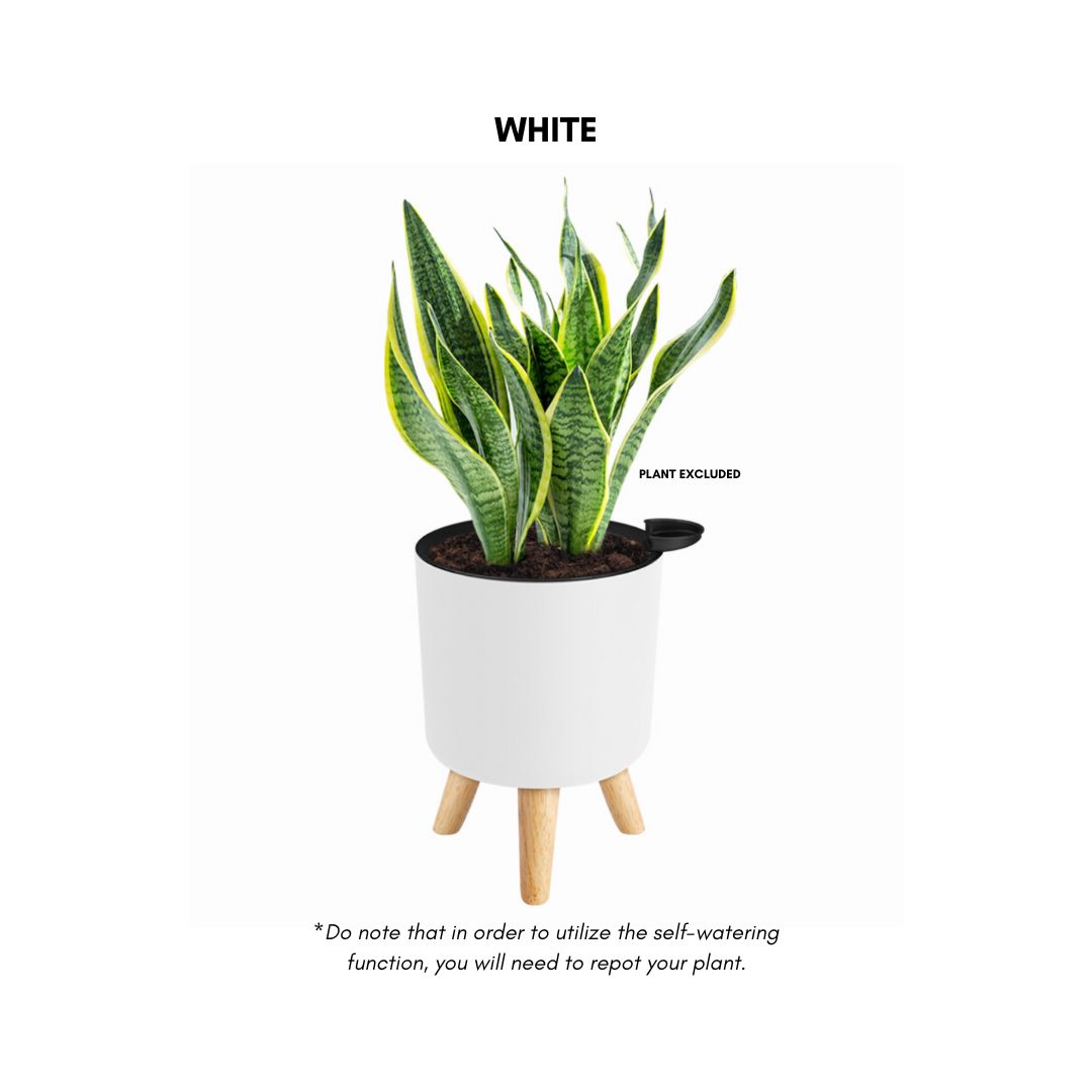 Elevated Plastic Self-Watering Flower Pot | Self Watering | Breathable ...