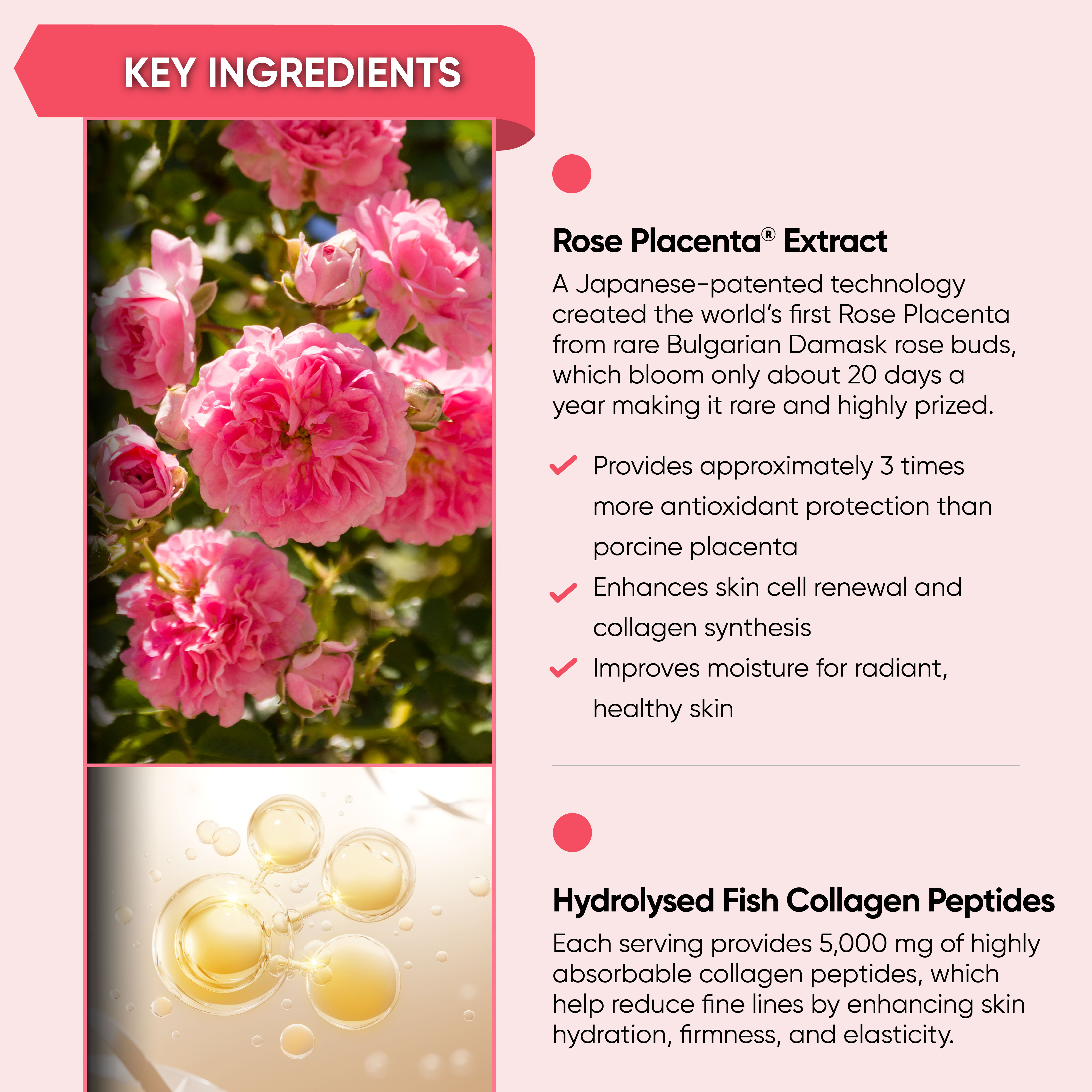 Holistic Way Bio-Elixir Rose Placenta® Collagen Shot -10 Sachets x 30 ...