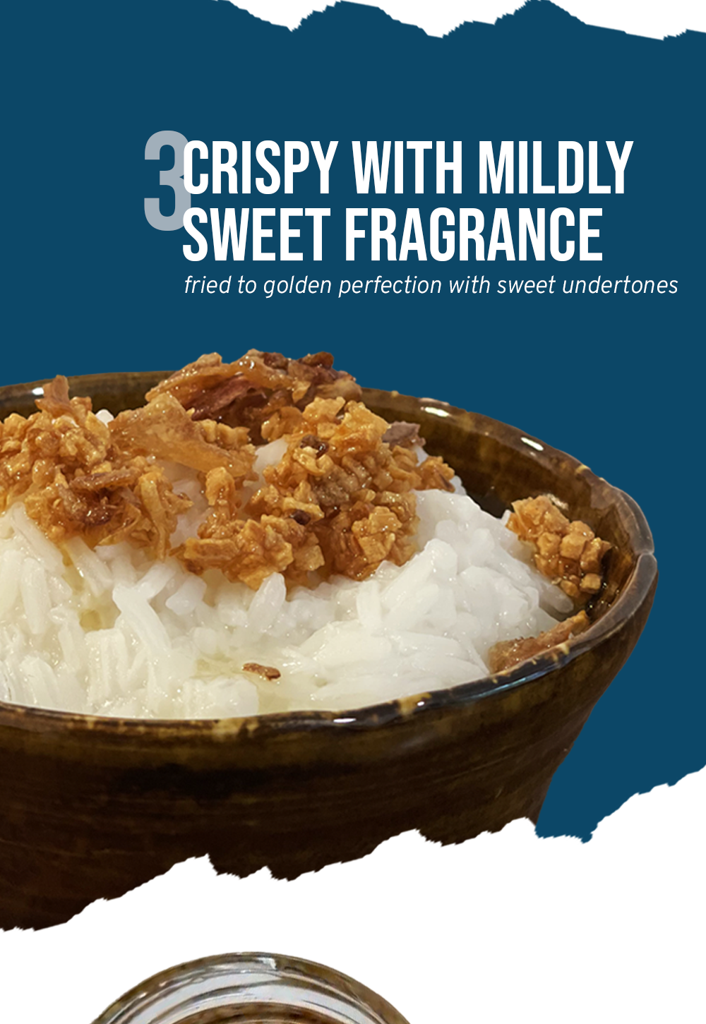 Twirlee Premium Crispy Garlic/Shallot/Garlic Chilli Crunch | Shopee ...