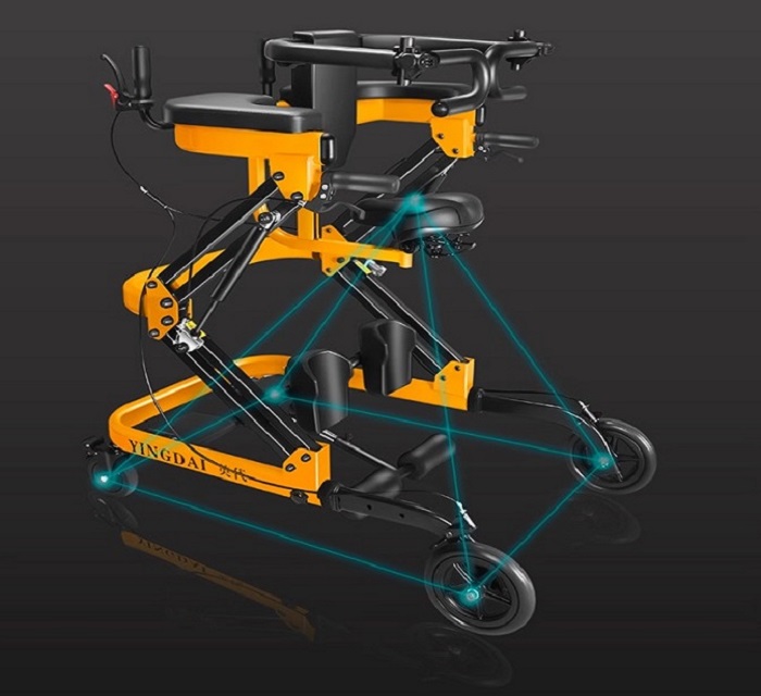 Hydraulic Patient Self Assist Rehab Walker | Shopee Singapore