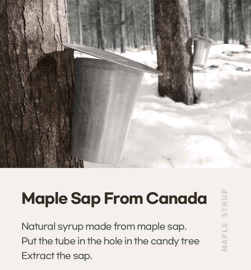 [TIVINE] Allulose Maple Syrup Zero Sugar Low Calorie Honey Syrup (520g ...