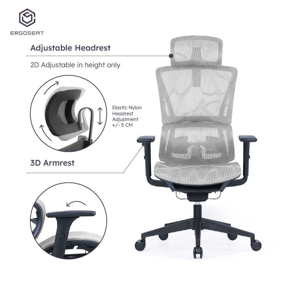Ergoseat Ergonomic Office Chair Lumbar Support Computer Chair Study ...