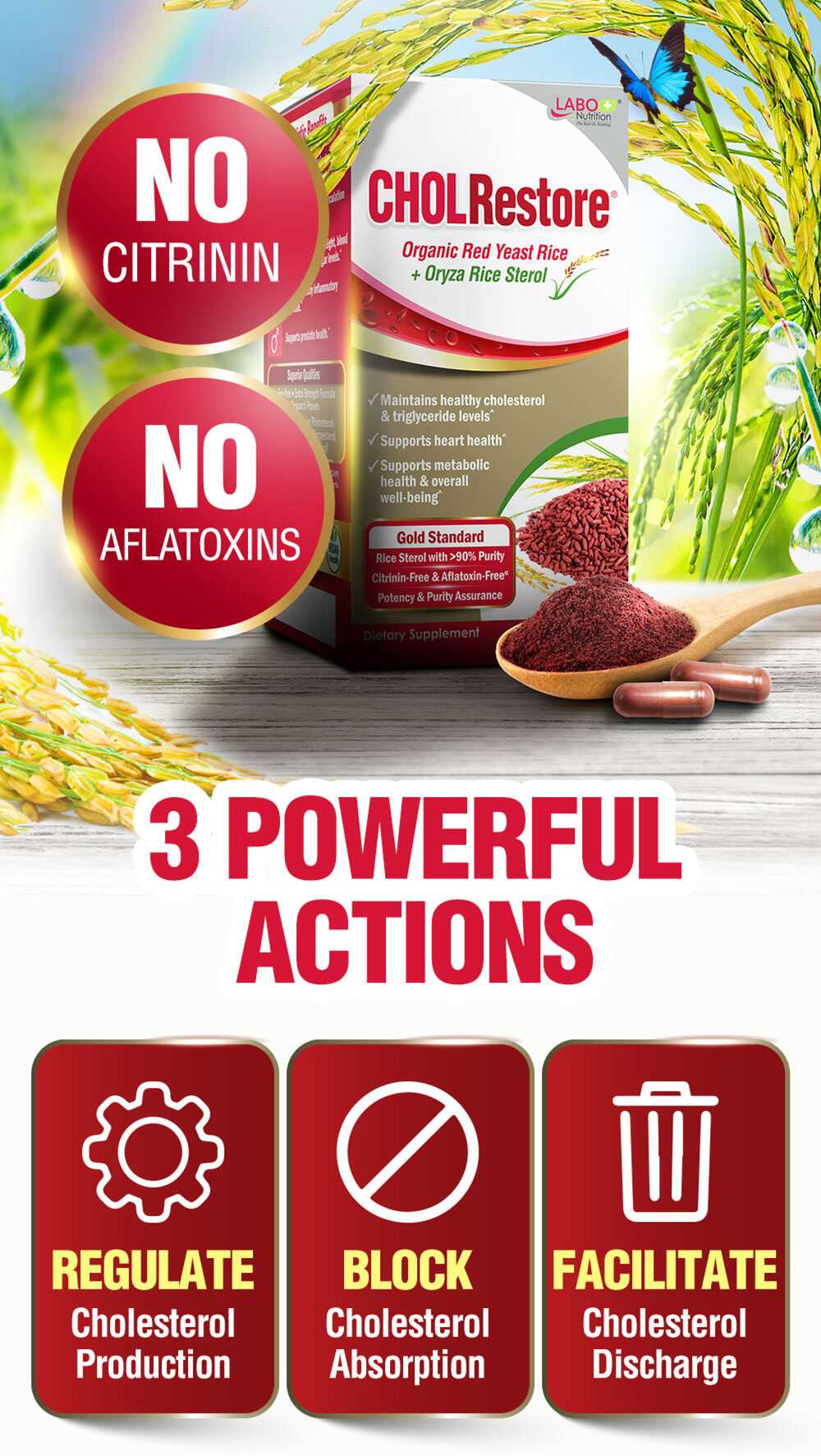 [3 Boxes] LABO Nutrition CHOLRestore Red Yeast Rice - Cholesterol ...